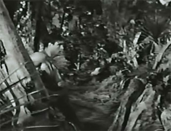 King Of The Congo The Files Of Jerry Blake