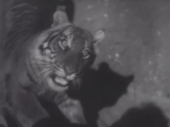 The Return of Chandu | The Files of Jerry Blake