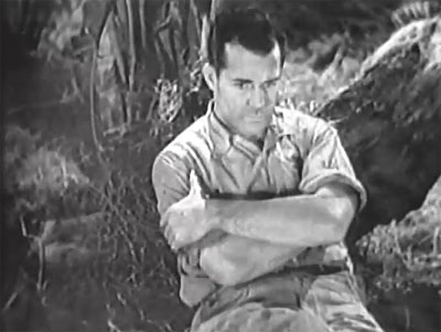 Queen of the Jungle | The Files of Jerry Blake