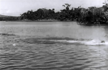 The New Adventures of Tarzan | The Files of Jerry Blake