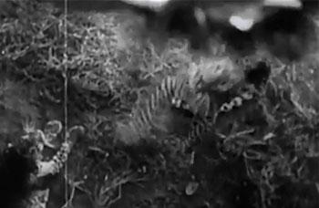 The New Adventures of Tarzan | The Files of Jerry Blake